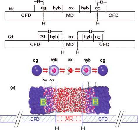 Coupling Strategies For The Adress Hybridmd Scheme A Coarsegrained Download Scientific Diagram
