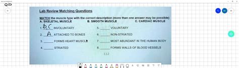 SOLVED EXERCISE LAB REPORT Procerus Nasalis Risorius 11 13 14 Mentalis Cut Platysma Cut