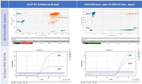Comparing Droplet Digital Pcr Ddpcr And Qpcr