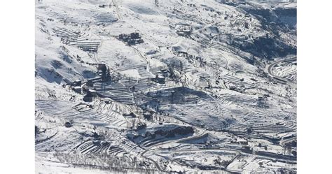 Международна група за правата на човека твърди че Израел използвал бял фосфор за нападения в Ливан