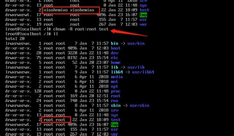 Linux属主与属组设置 SportSky 博客园