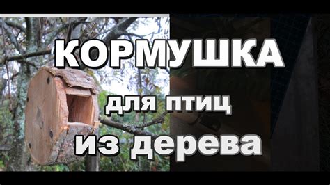 Оригинальная Кормушка для Птиц из дерева - YouTube
