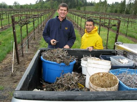 University Of California Gopher Control Study