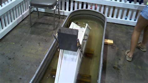 Ducks At The Kentucky State Fair 2011 Youtube