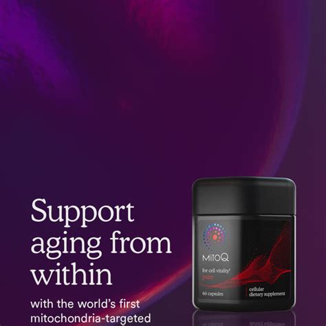 Mitochondrial Supplements To Enhance Your Healthspan