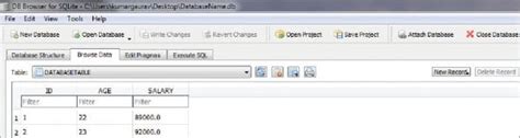 Interfacing Python With The SQLite Transactional Database Engine