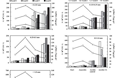 Phosphate Concentration And Viable Cell Count Cfu In The Pure Culture Download Scientific