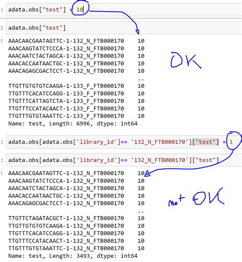 Can Not Select Part Of The Adata Obs Corresponding To A Library Id Squidpy Scverse