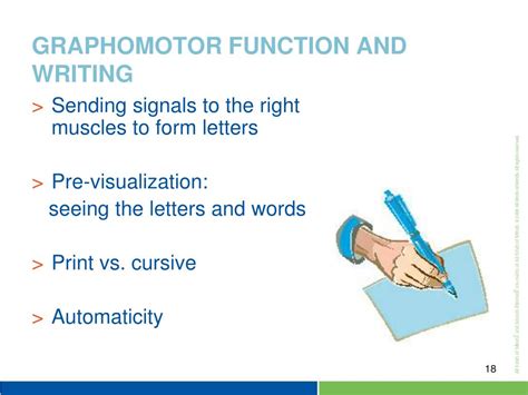 Ppt The Neurodevelopmental Constructs Powerpoint Presentation Free
