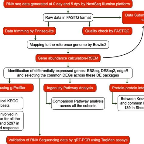 workflow for rna sequencing data analysis download scientific diagram
