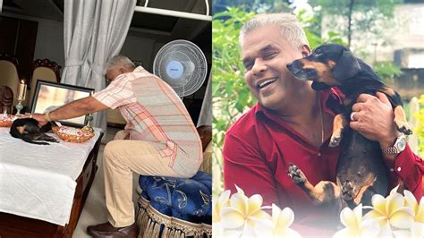 ආදරණීය බංචි කෙල්ල ගැන ඩඩ්ලිගේ සංවේදී සටහනක්