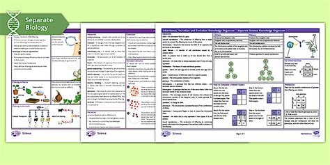 Inheritance Knowledge Organiser Aqa Biology Beyond
