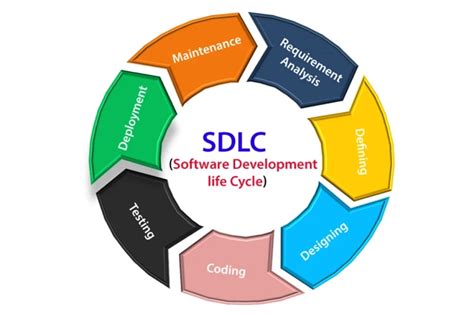 Comprehensive Software Development Guide For All Levels
