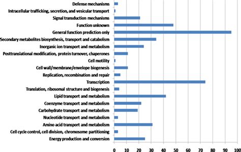Mycobacterium Ulcerans Plos One