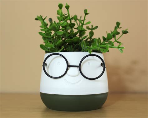 Smiling Plant With Glasses Planter For Plants Head Plant Pot For