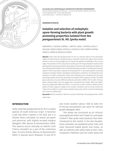Pdf Isolation And Selection Of Endophytic Spore Forming Bacteria With Plant Growth Promoting