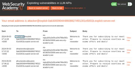 Portswigger Exploiting Vulnerabilities In Llm Apis El Hacker Ético