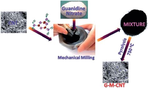 Preparation Of N Doped Carbon Nanotubes Reprinted With Permission From Download Scientific