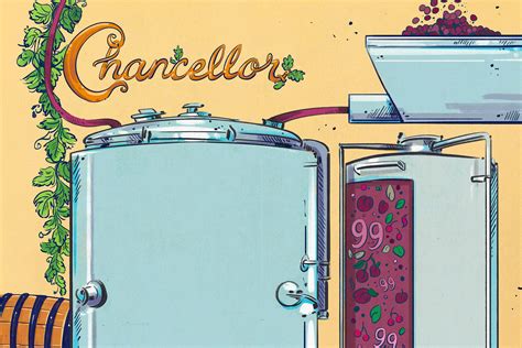 What Does Volatile Acidity Mean In Wine Wine Enthusiast