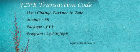FZPB SAP Tcode For Change Partner In Role