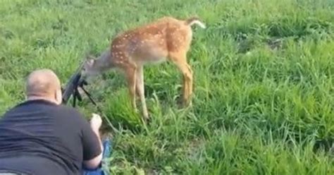 사격수를 녹인 아기 사슴천진난만한 눈빛 나 쏠 거야