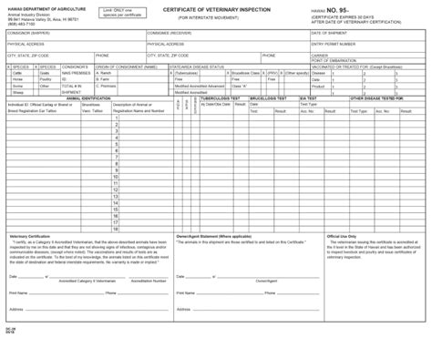 Recreate And Modify Large Or Multipage Forms To Be High Quality And