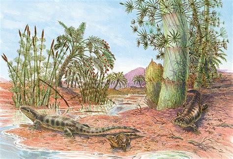 Discover 10 Hylonomus And Lizard Ideas Reptiles Prehistoric Animals