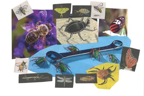 What S The Difference Between A Bug And An Insect What S The Difference