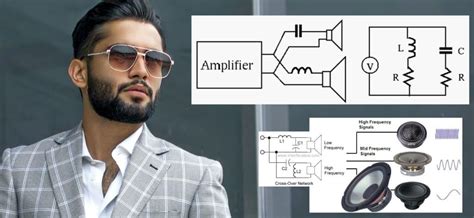 How To Determine Speaker Crossover Frequency Complete Beginners Guide My Audio Lover