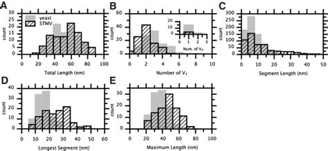 Analysis Of The Structures Shown In Figure 7 Values Corresponding To