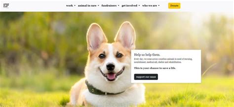 connections html css bootstrap webdevelopment html css