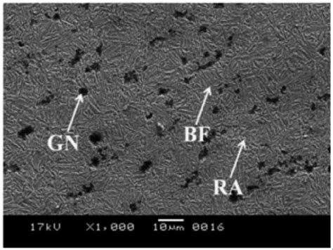 Sem Microstructure Of Weld Deposited Bead On Plate Using O O Trial 3 Download Scientific