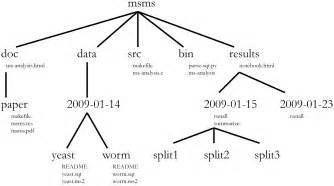 Bioinformatics Career Guide