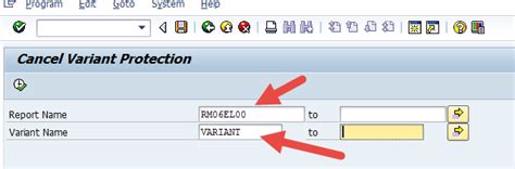 Sap Program Variant How To Unprotect A Programs Variant Portsap Blogging