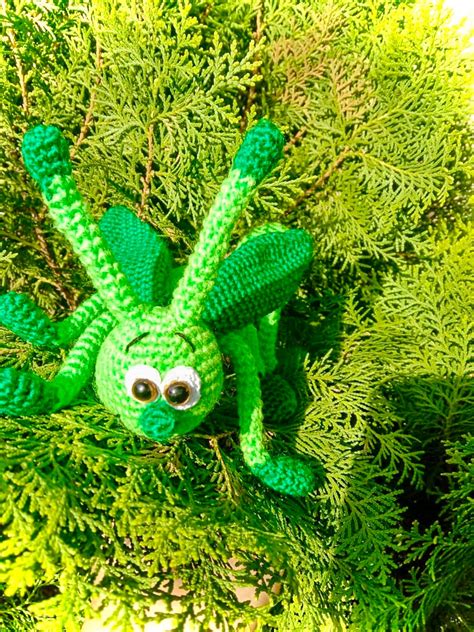 Crochet Grasshopper Toy Crochet Animals Plush Crochet Etsy