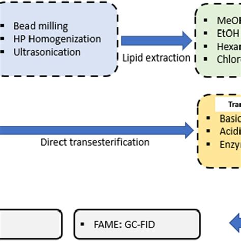 Illustration Of The Steps For The Transesterification Processes Of Download Scientific Diagram