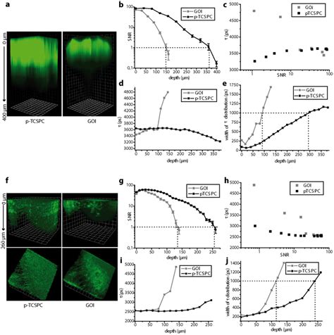 Depth Dependent Snr And Maximum Imaging Depth In Flim Three