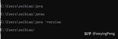 Java的jdk配置成功，但是输入java Version等，命令行没有任何反应 知乎