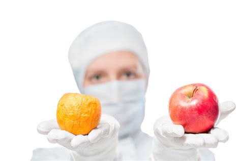 생물학자는 사과에 독성 물질의 영향의 결과를 보여줍니다 Stem 주제에 대한 스톡 사진 및 기타 이미지 Stem 주제 과일 과학 Istock