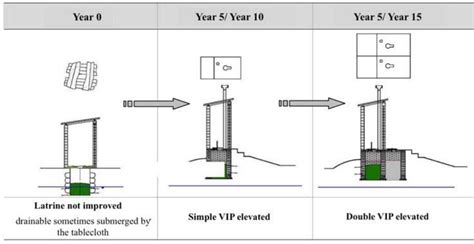 27 Diagram Of Sample Evolution Sequence