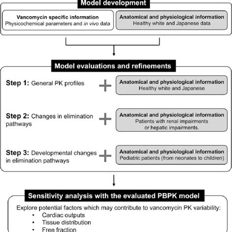 Pdf Using A Vancomycin Pbpk Model In Special Populations To Elucidate Case Based Clinical Pk
