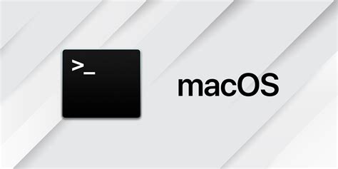 How To Zip Files And Folders In MacOS From Terminal Polynique