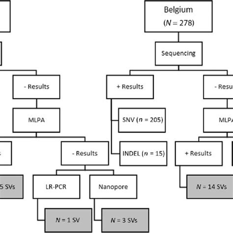 Flowchart Of 39 Patients Selected For The Analysis Of Structural Download Scientific Diagram