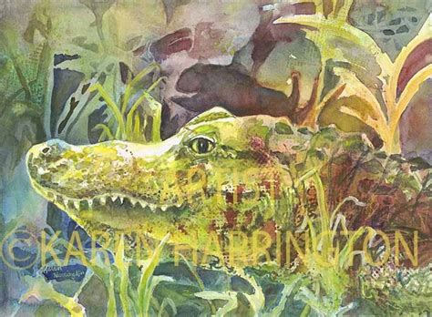 Alligator In The Grass Watercolor Alligator In Swamp Swamp Wildlife