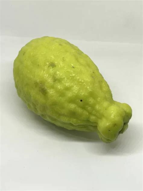 Jara Lemon Fresh Exotic Fruit From Bangladesh £29 83 Picclick Uk