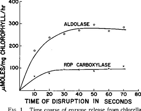 Figure 1 From The Reductive Pentose Phosphate Cycle Iii Enzyme