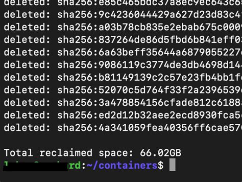Daily Reminder To Prune Your Docker Images Every So Often Rselfhosted