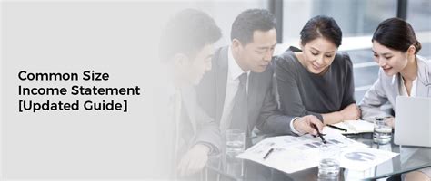Common Size Income Statement Updated Guide
