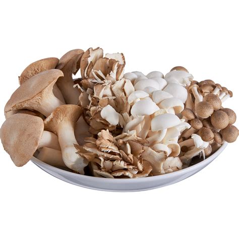 Organic Chefs Sampler Mushrooms 16 Oz 7511 1199