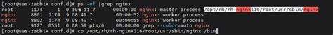 Nginx Ssl